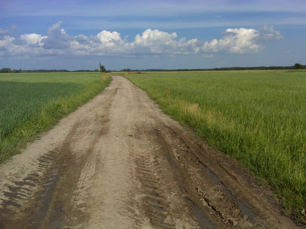 Trasy rowerowe Liw + Wzdłuż rzeki Liwiec - Traseo