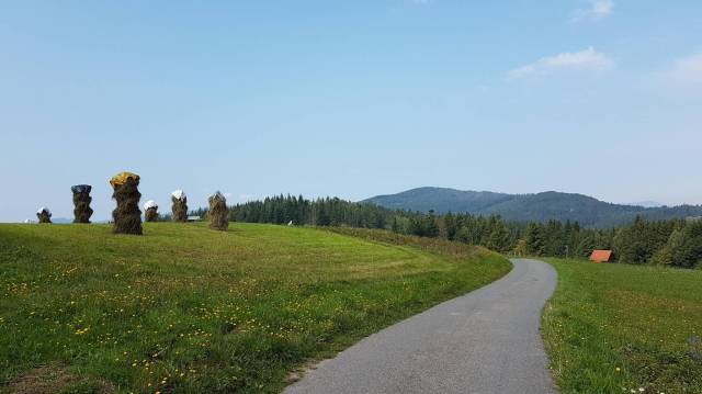 Trasa na rower szosowy Z Jaworzynki do Kamiennej Chaty. - Traseo