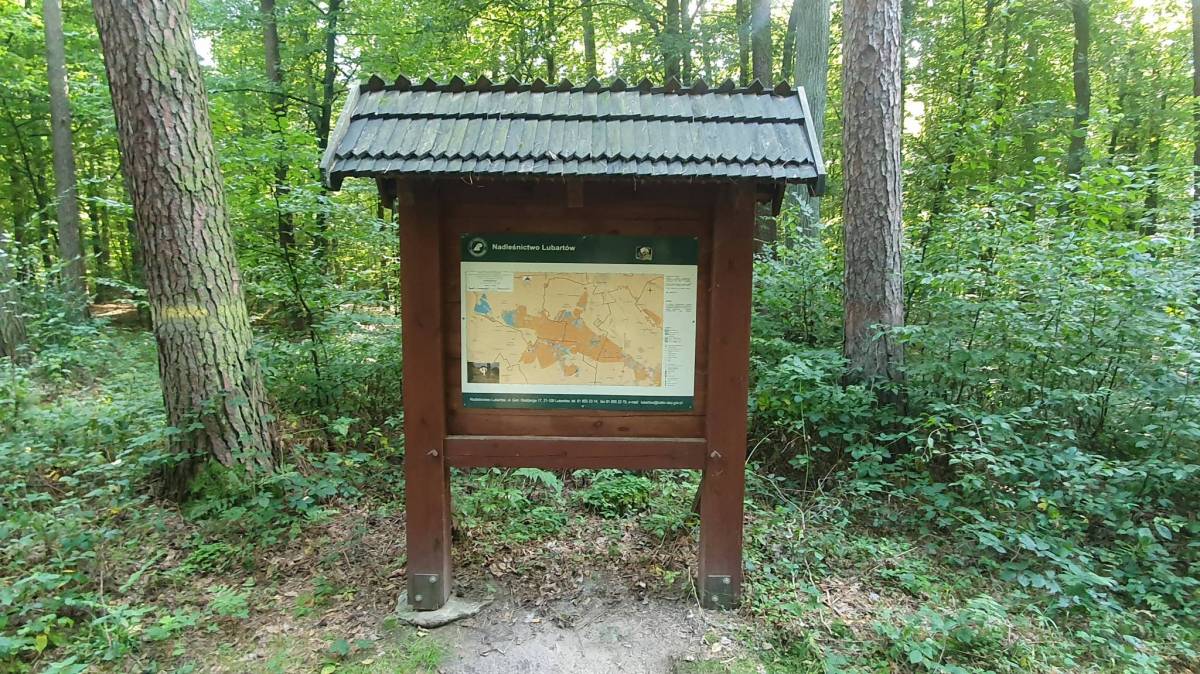 Trasy rowerowe Kozłowiecki Park Krajobrazowy - Kozłówka - Samoklęski ...