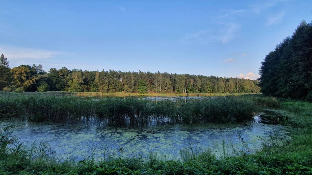 Trasy rowerowe Kozłowiecki Park Krajobrazowy - Kozłówka - Samoklęski ...