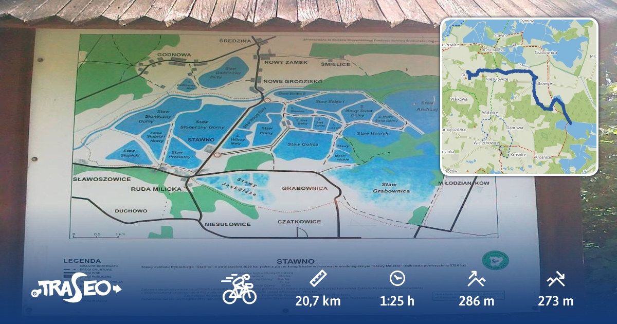 Trasa na rower szosowy Milicz i okolice - stawy Milickie - Traseo
