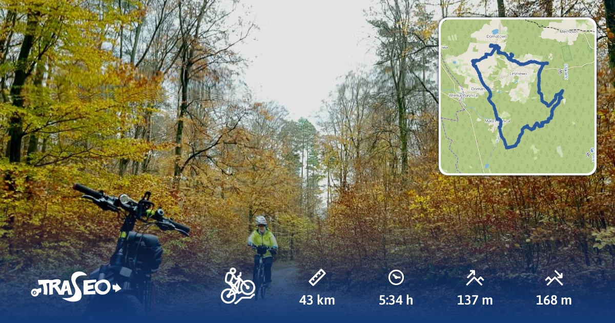 Trasa MTB ROWEREM PRZEZ PUSZCZĘ DARŻLUBSKĄ - Traseo