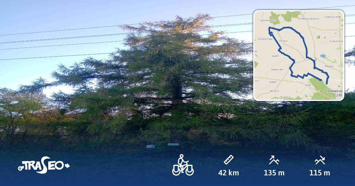 Trasa rowerowa Święcica - Modrzew Piłsudskiego - Traseo.pl